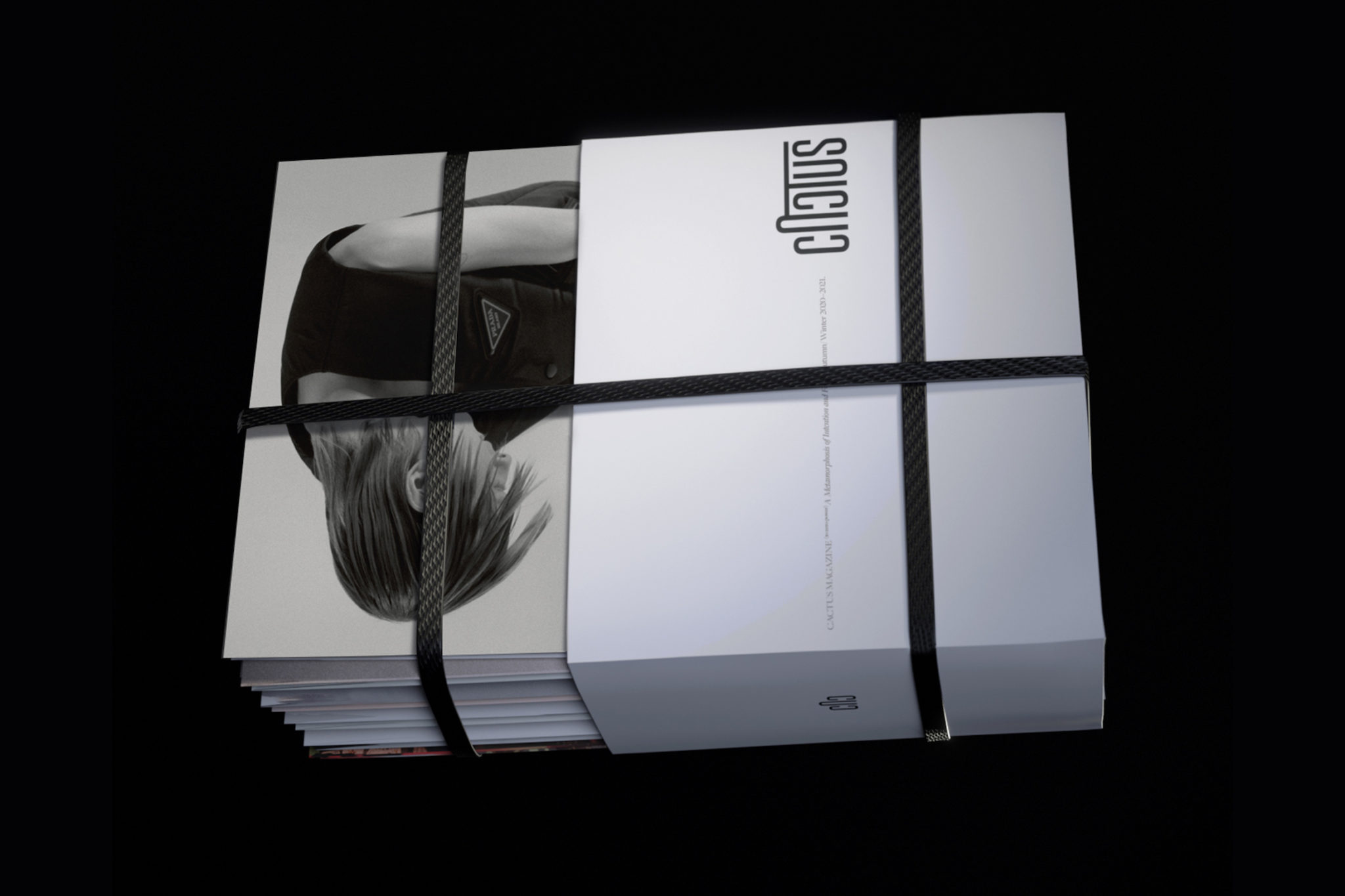 New Cactus Magazine: do not cut it; but turn it into a show – Text by ...